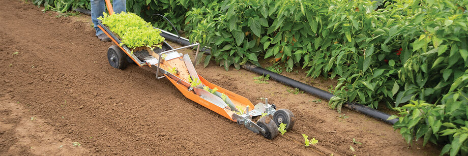 Paperpot Transplanting System | Johnny's Selected Seeds