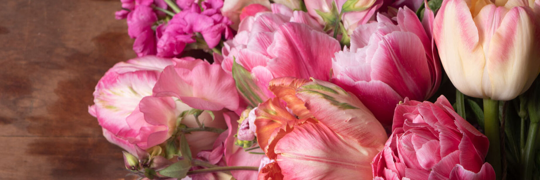 Pink Flower Seeds | Johnny's Selected Seeds