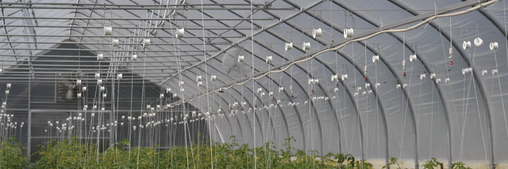 Rollerhooks® - Lower & Lean | Johnny's Selected Seeds