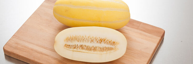 Asian Melon Seeds | Johnny's Selected Seeds