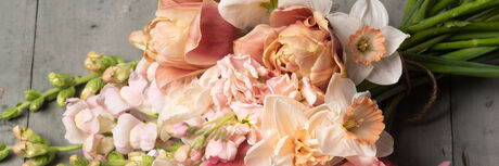 Flower Varieties in Shades of Blush | Johnny's Selected Seeds