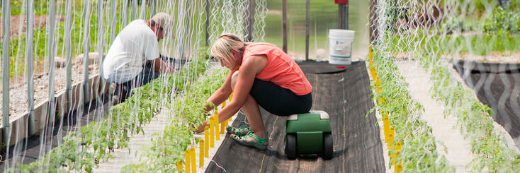 Trellising & Crop Supports | Johnny's Selected Seeds