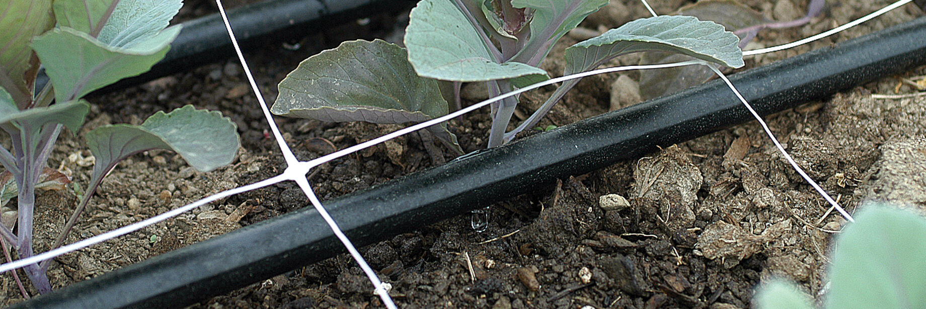 Drip Irrigation Kits & Supplies | Johnny's Selected Seeds