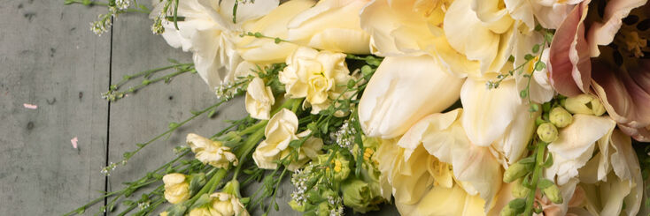 Flower Varieties in Shades of Cream | Johnny's Selected Seeds